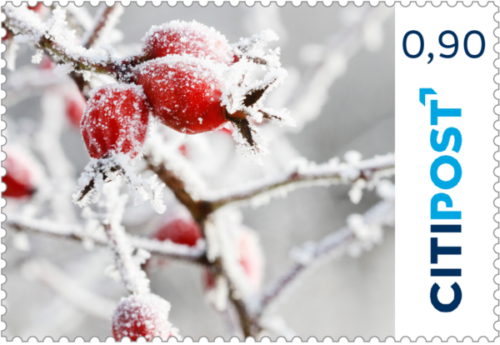 CITIPOST Hannover | Deutschlandweiter Briefversand