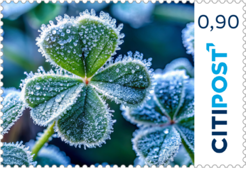 CITIPOST Hannover | Deutschlandweiter Briefversand